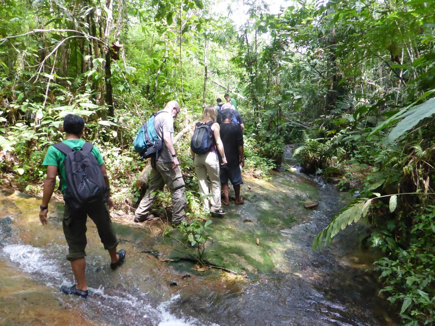 7 Fakta Unik Taman Nasional Gunung Leuser yang Perlu Kamu Tahu