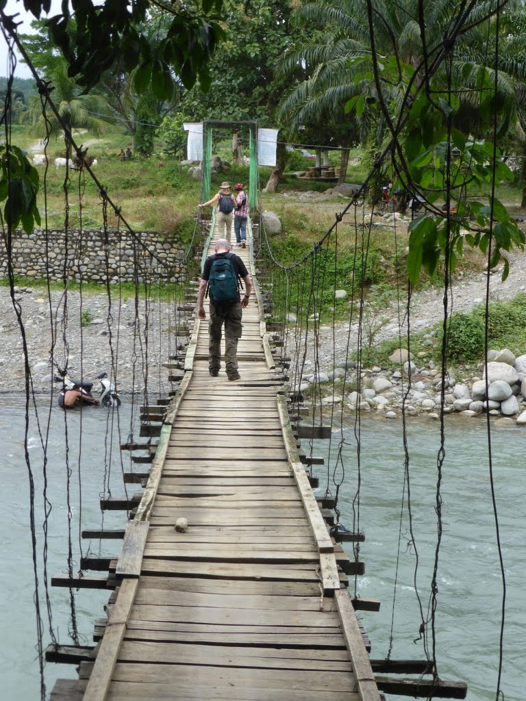 7 Fakta Unik Taman Nasional Gunung Leuser yang Perlu Kamu Tahu