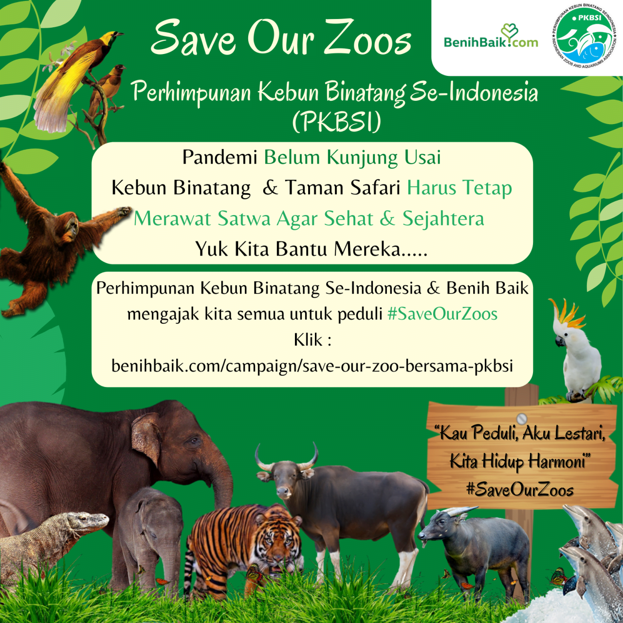 Nasib Kebun Binatang saat Pandemi - TelusuRI