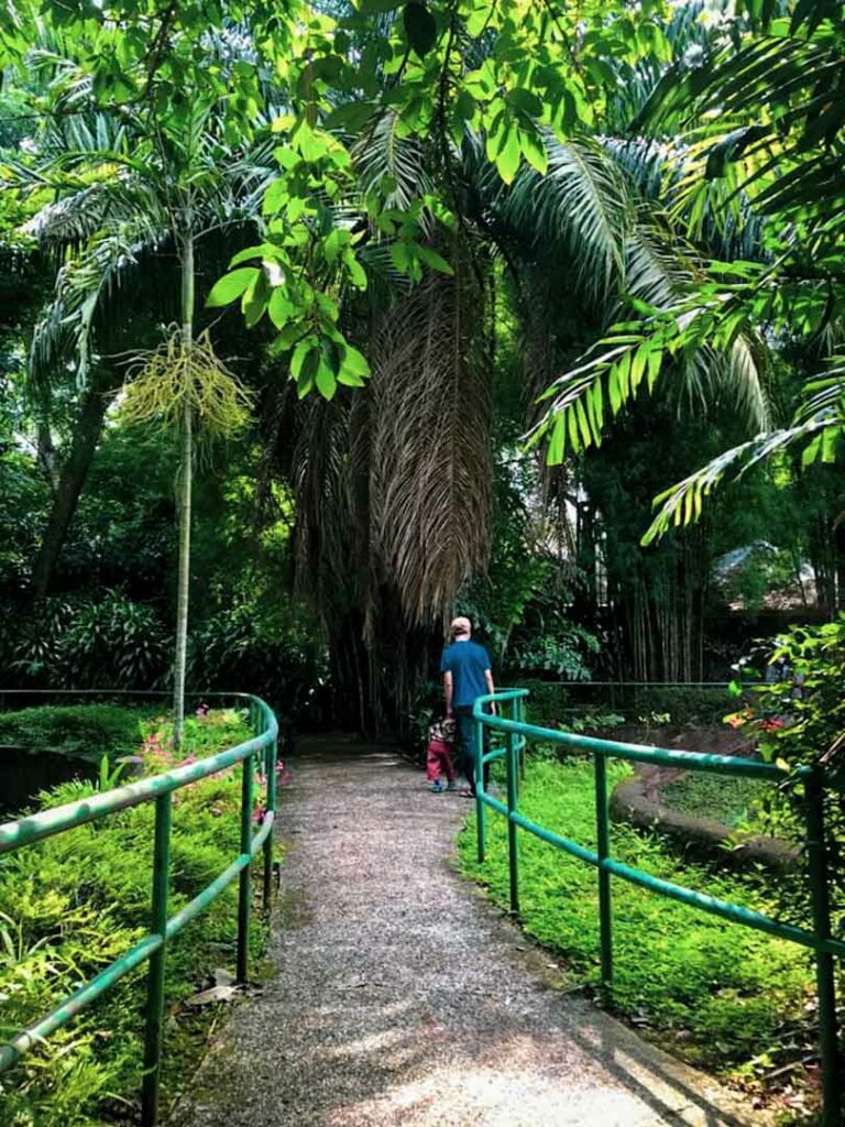 Akhir Pekan di Pusat Primata Schmutzer - TelusuRI