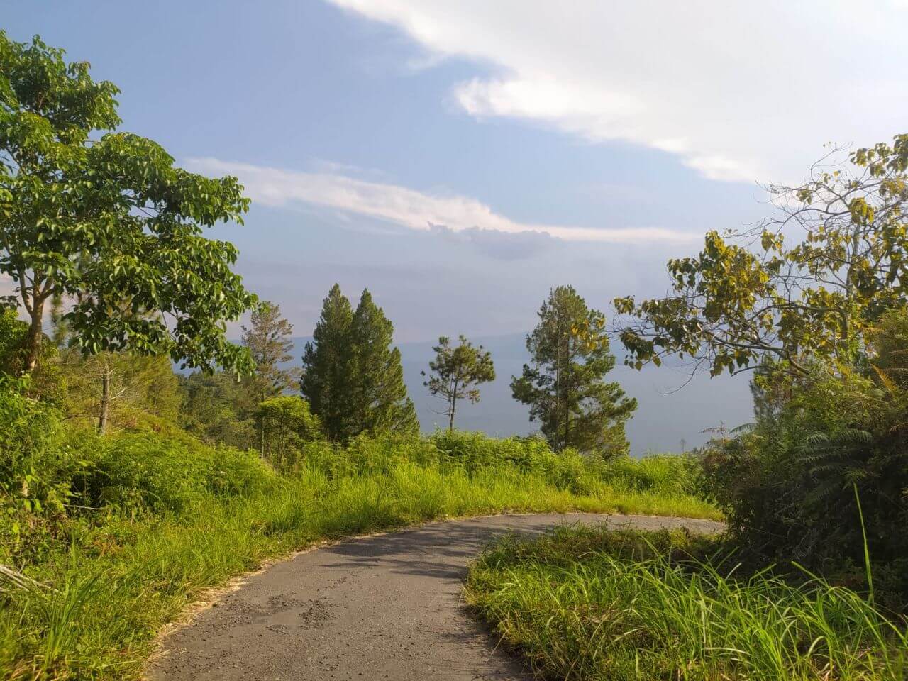 Perjalanan Panjang ke Bukit Sipolha - TelusuRI