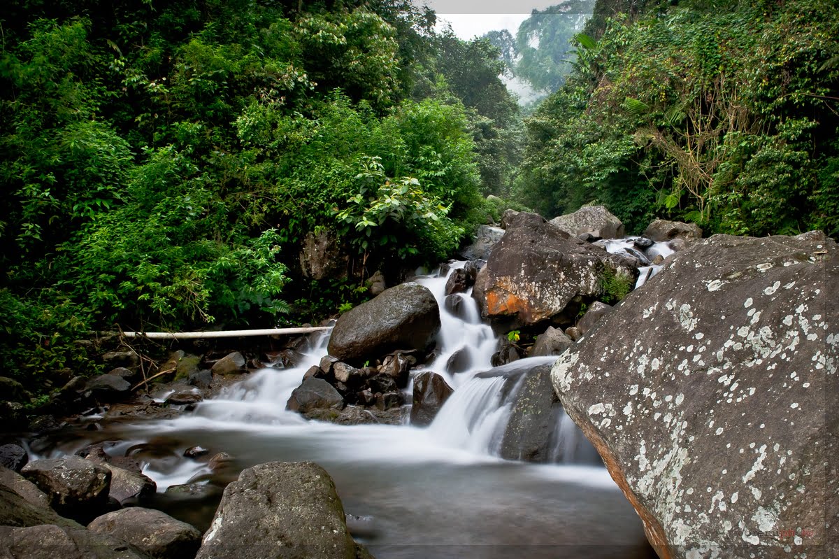 Jalan-jalan ke Curug Cipamingkis, Bogor - TelusuRI