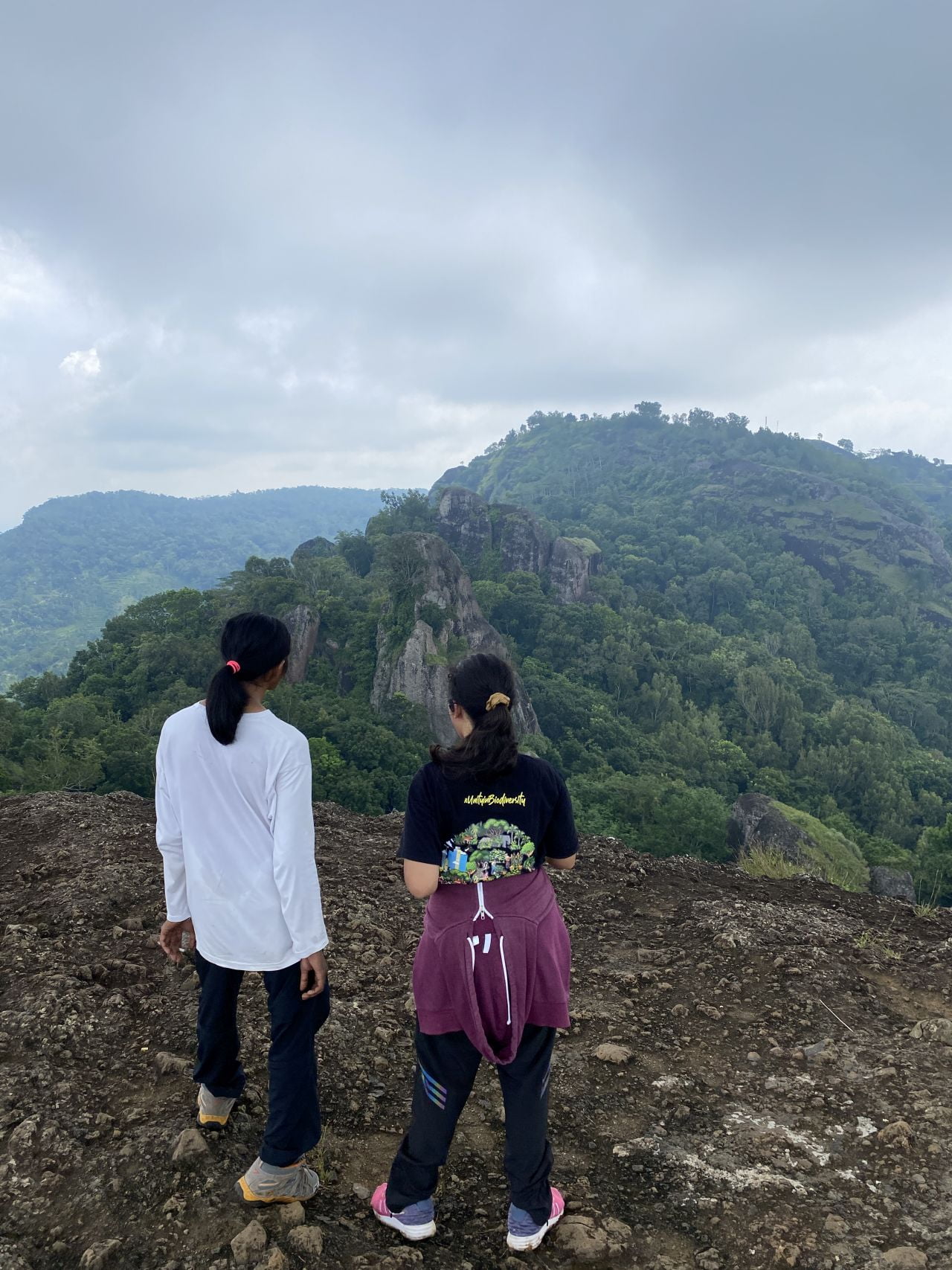 Gunung Api Purba, Pesona dan Jalur Pendakian yang Tidak Purba - TelusuRI