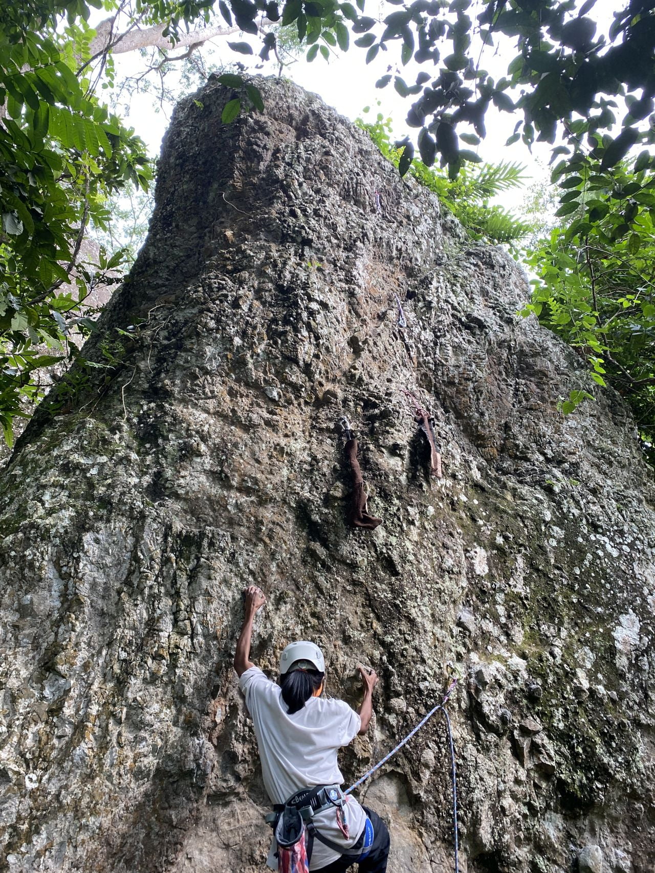 Gunung Api Purba, Pesona dan Jalur Pendakian yang Tidak Purba - TelusuRI