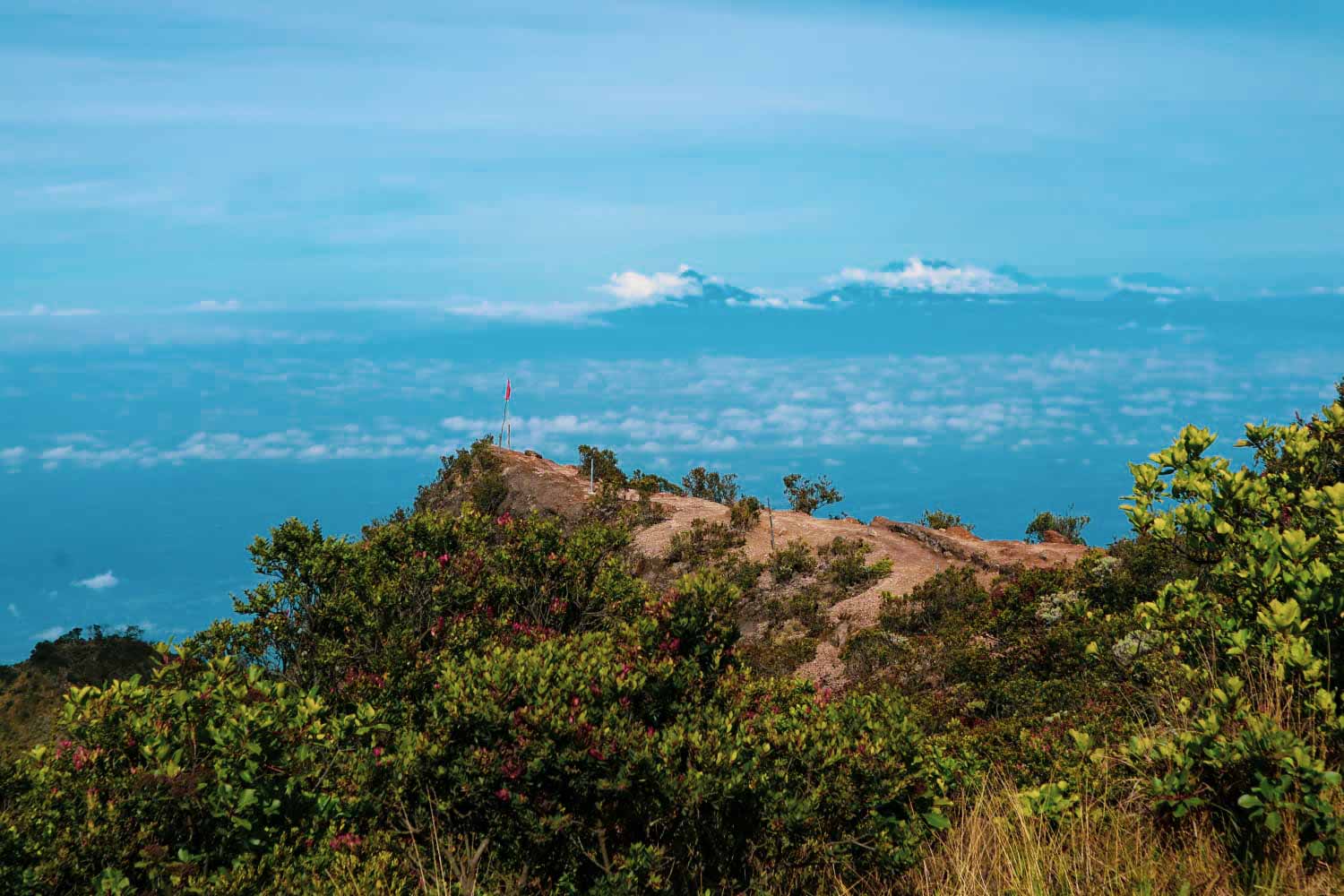 Pendakian Bersama Gunung Lawu dari Basecamp Candi Ceto - TelusuRI