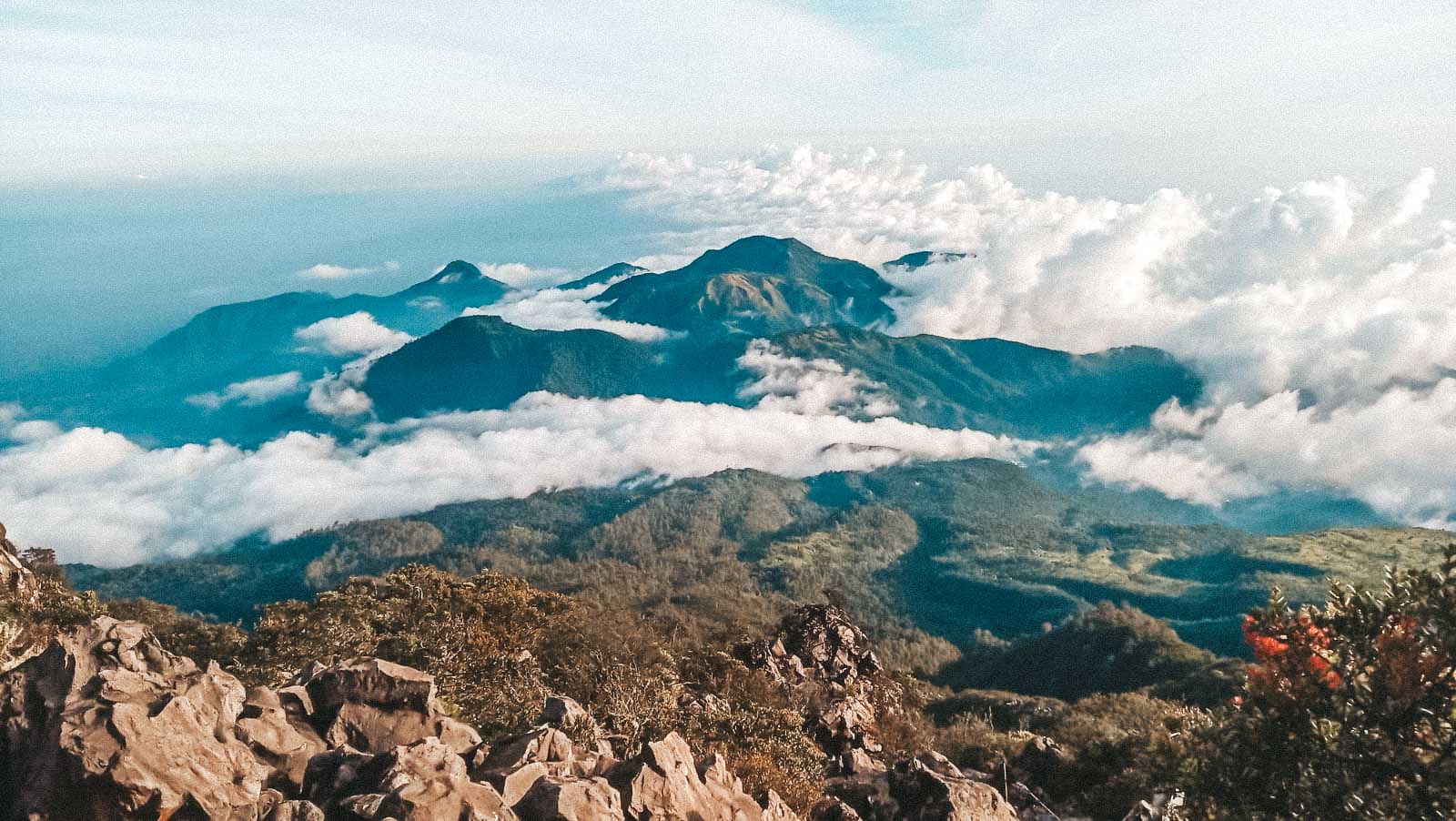 ‘Tektok’ Gunung Lawu via Cemoro Sewu - TelusuRI