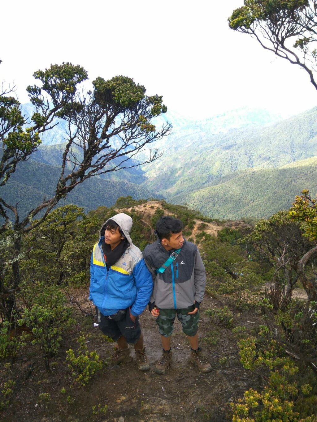 Menyapa Tahun Baru di Gunung Latimojong - TelusuRI