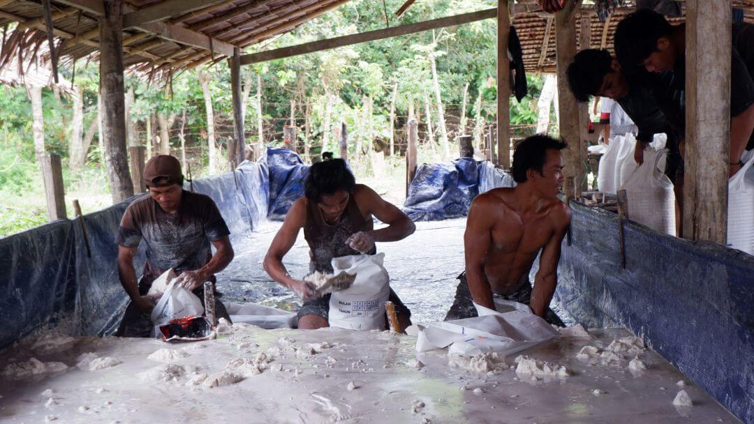 Ekspedisi Katakerja, Penjelajahan Pangan Olahan di Tanah Luwu – TelusuRI