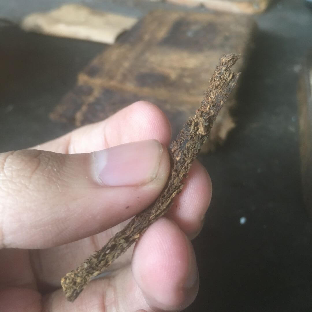 Tembakau Garangan: Komoditas Isap dari Wonosobo (1) - TelusuRI