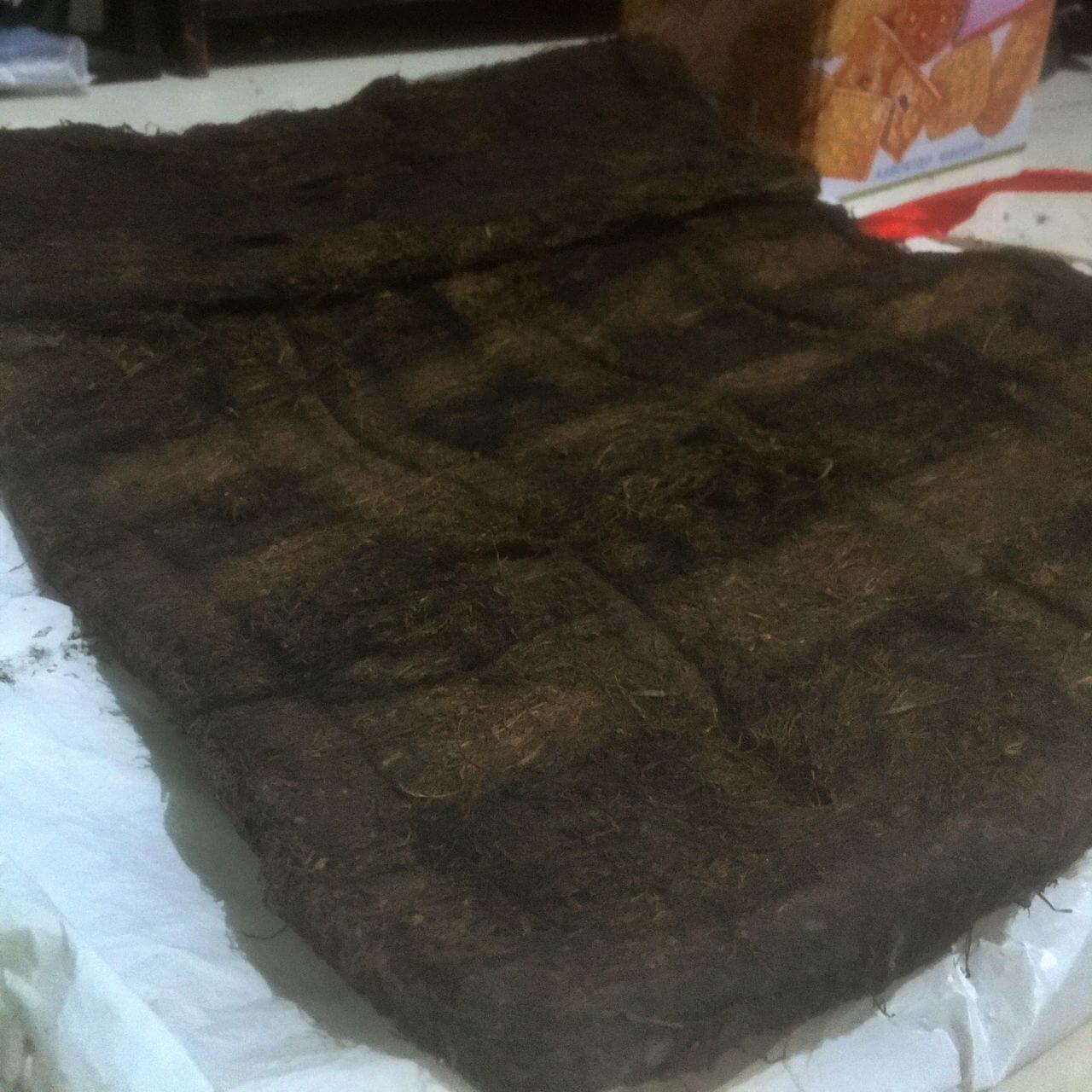 Tembakau Garangan: Pengetahuan Lokal Masyarakat Dieng (2) - TelusuRI