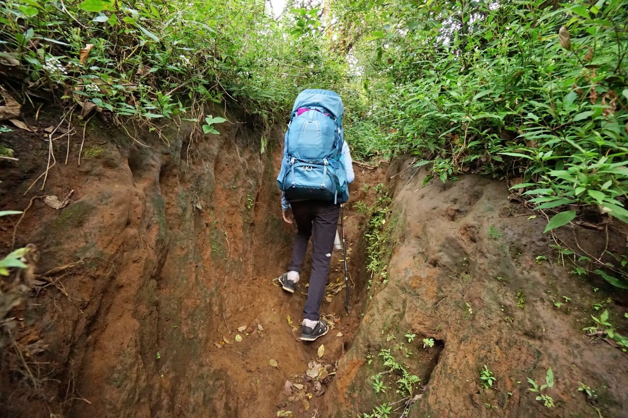 Jurnal Lawu: Dari Cetho ke Cemoro Dowo (2) - TelusuRI