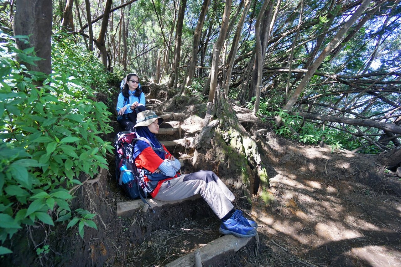 Jurnal Lawu: Angan-Angan Gupakan Menjangan (3) - TelusuRI