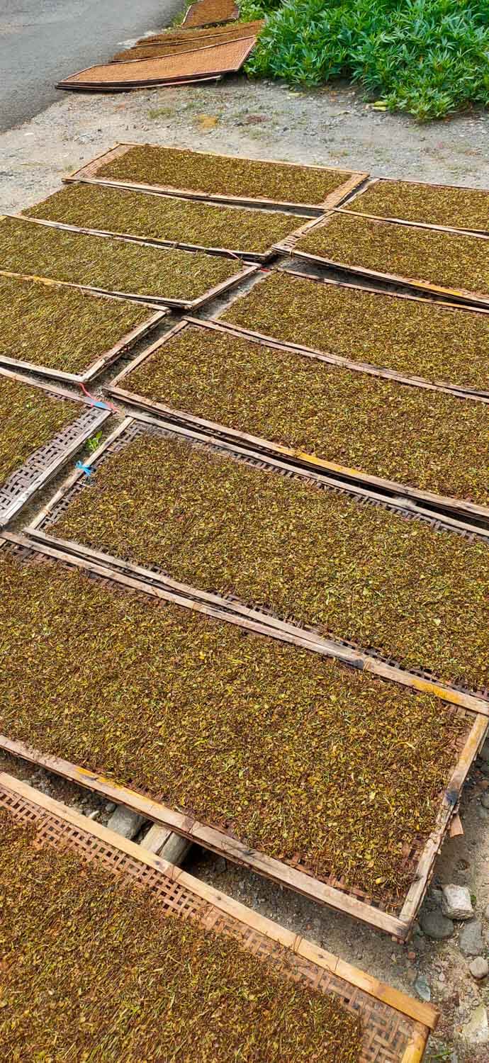 Tembakau-Tembakau Jawa Tengah - TelusuRI