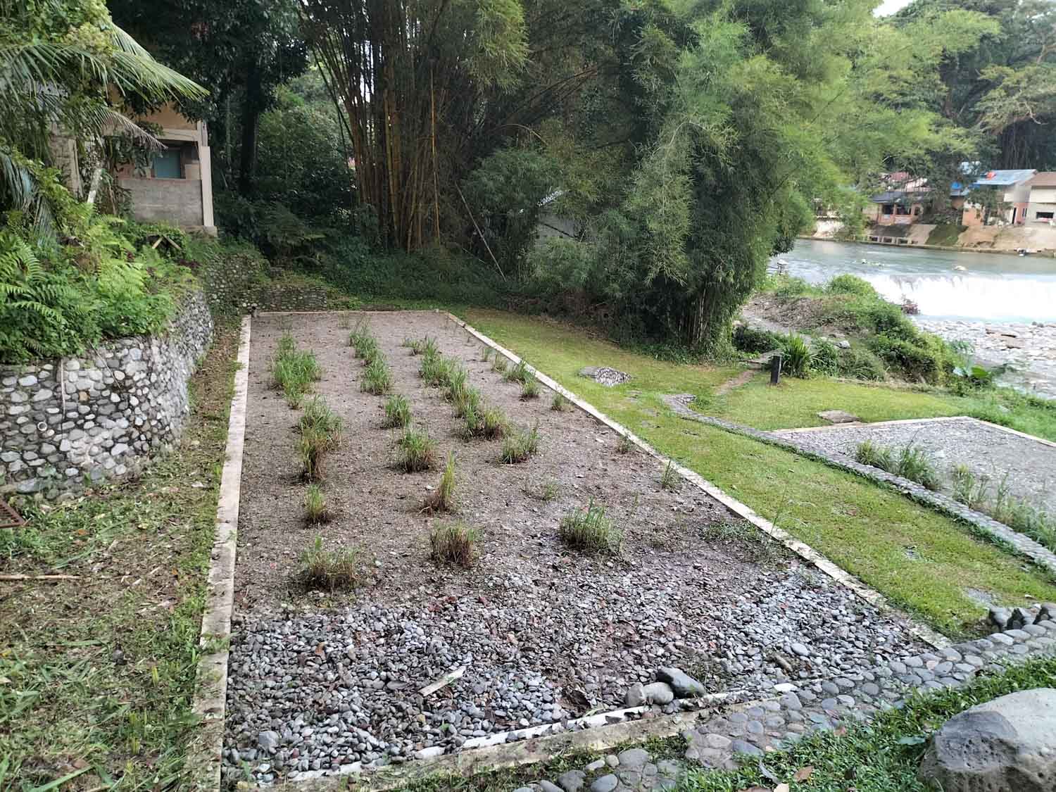 Belajar Ramah Lingkungan dari Ecolodge Bukit Lawang - TelusuRI