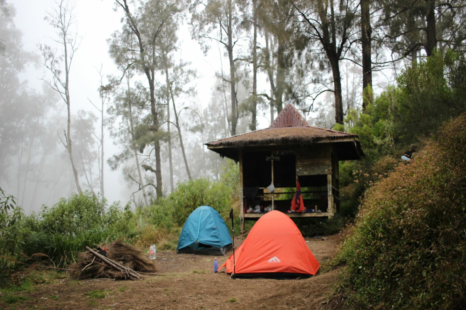 Tempat-tempat “Camping” yang Harus Dicoba di Gunung Argopuro - TelusuRI