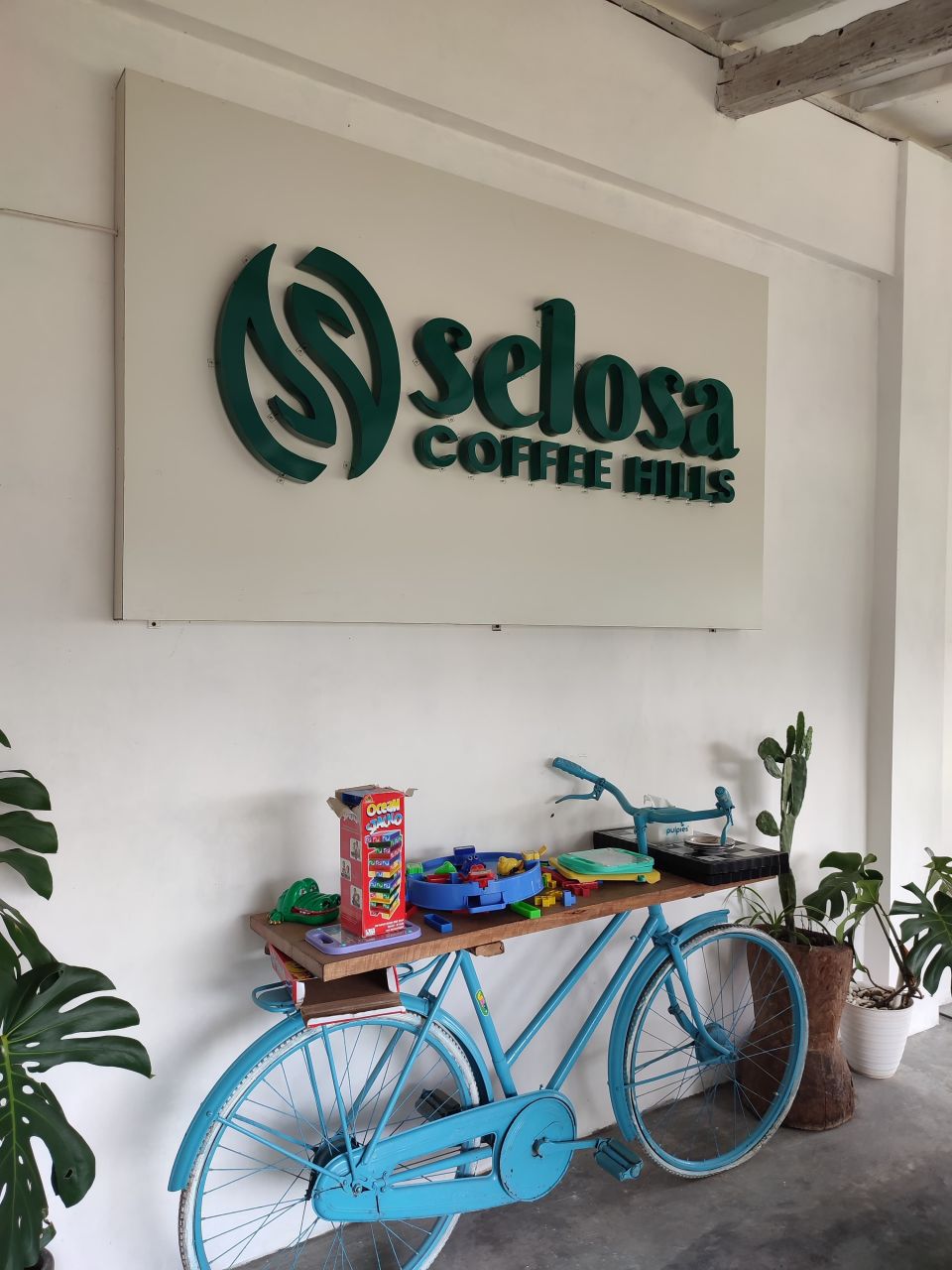 Menikmati Kesegaran Alam Gunung Merbabu dari Selosa Coffee Hills - TelusuRI