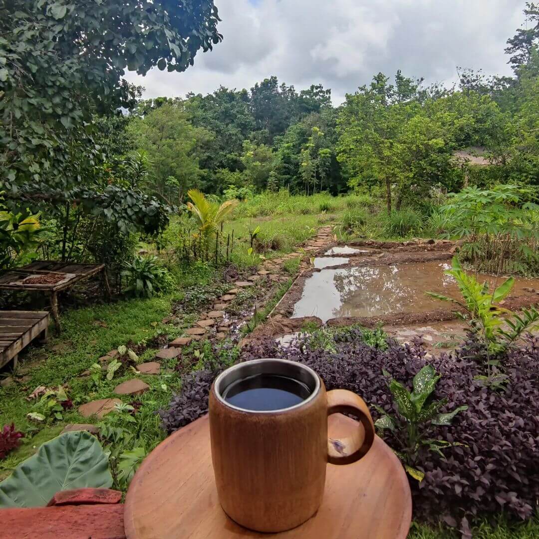 Saatnya Orang Muda Manggarai Raya Berdaulat atas Pangan Berkelanjutan ...