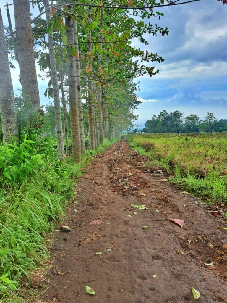 Puncak Budug Asu, Pilihan Destinasi “Solo Hiking” di Malang Raya - TelusuRI
