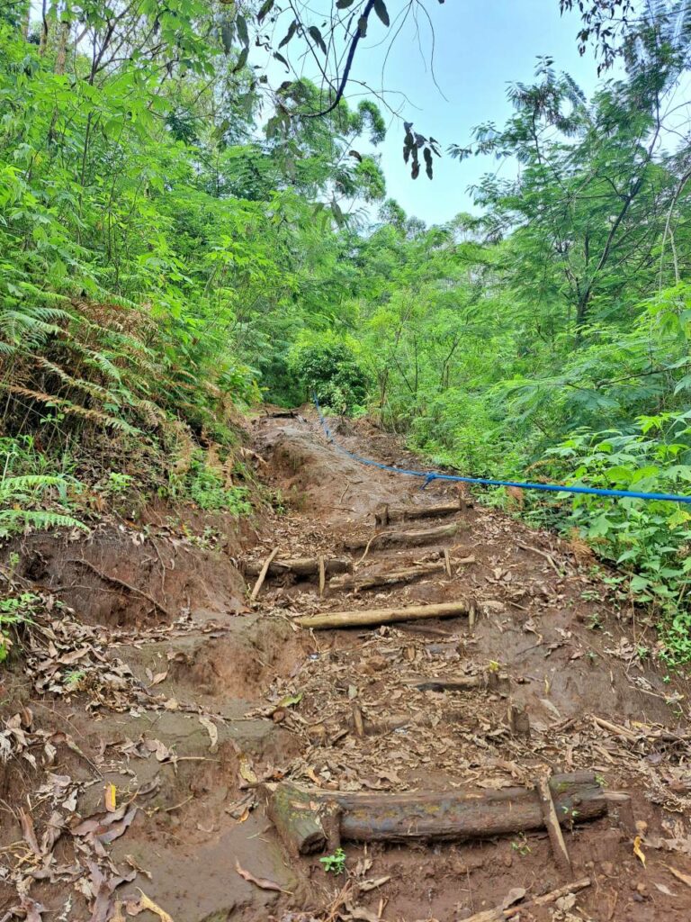 Puncak Budug Asu, Pilihan Destinasi “Solo Hiking” di Malang Raya - TelusuRI